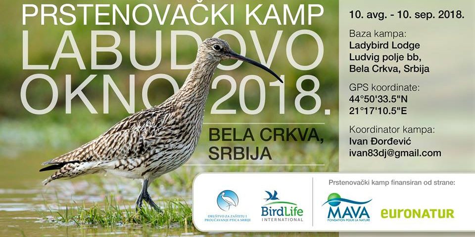Počeo Prstenovački kamp "Labudovo okno 2018." - Energetski Portal