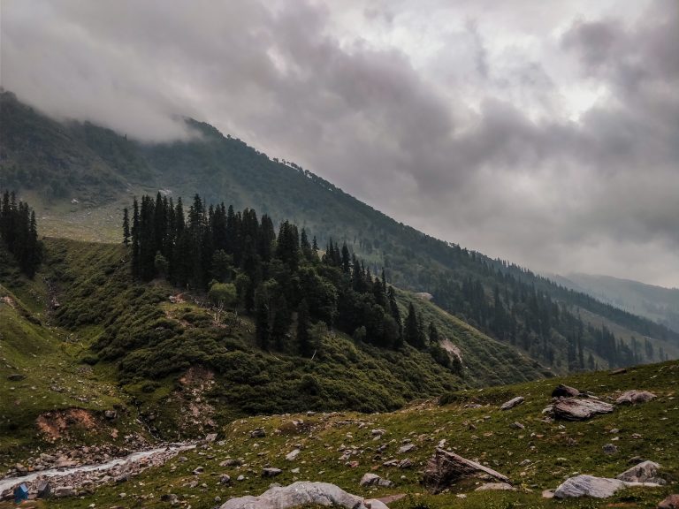 Više biljaka, manje leda - kako se menjaju Himalaji? - Energetski Portal