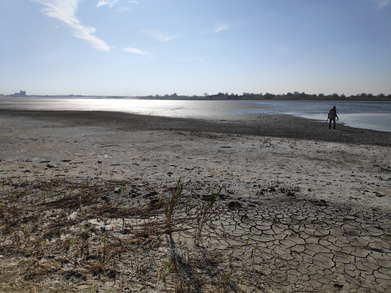 Otkrivene nove vrste silikatnih algi u Parku prirode „Rusanda ...