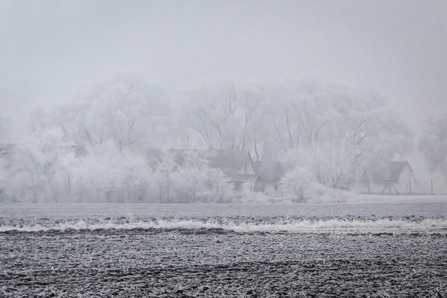 Najbolje fotografije treće nedelje foto-konkursa “Natura 2000 u kadru ...