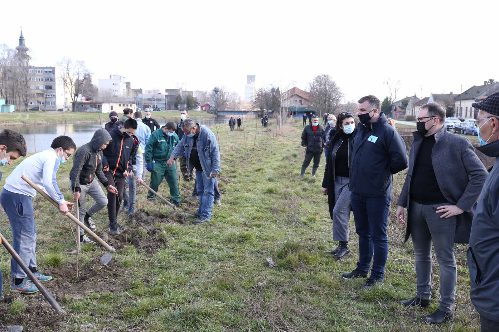 U Kuli posađeno 5.000 sadnica bagrema - Energetski Portal
